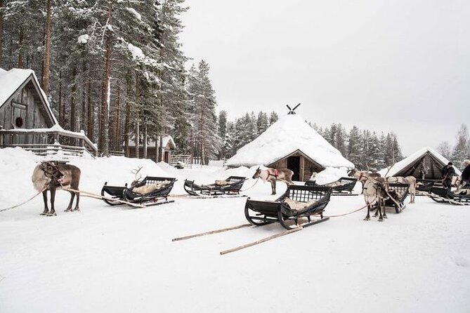 Traditional Reindeer Farm Visit with a Short Sleigh Ride - Key Points