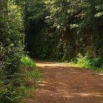 Traditional Sunday Market - Half Day Tour - 4x4 - Why Travelers Would Love This Tour
