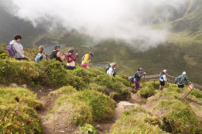 Trail Running private tour in Faial - Why You’ll Love This Trail Running Tour in Faial