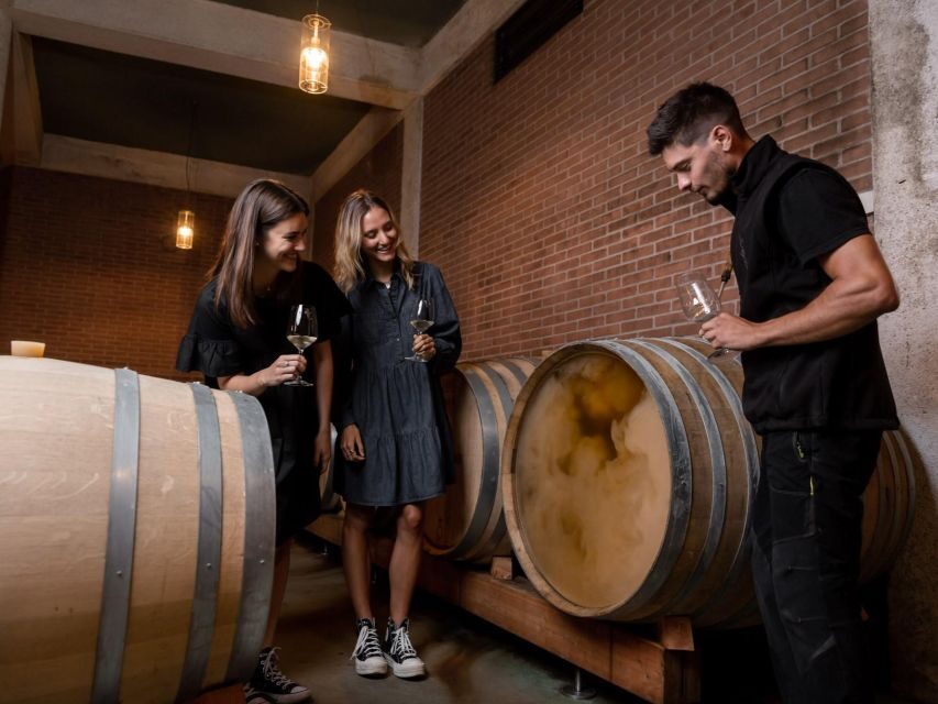 Tramin/Termeno: Winery Tour & Wine Tasting, J. Hofstätter - The Tasting Itself