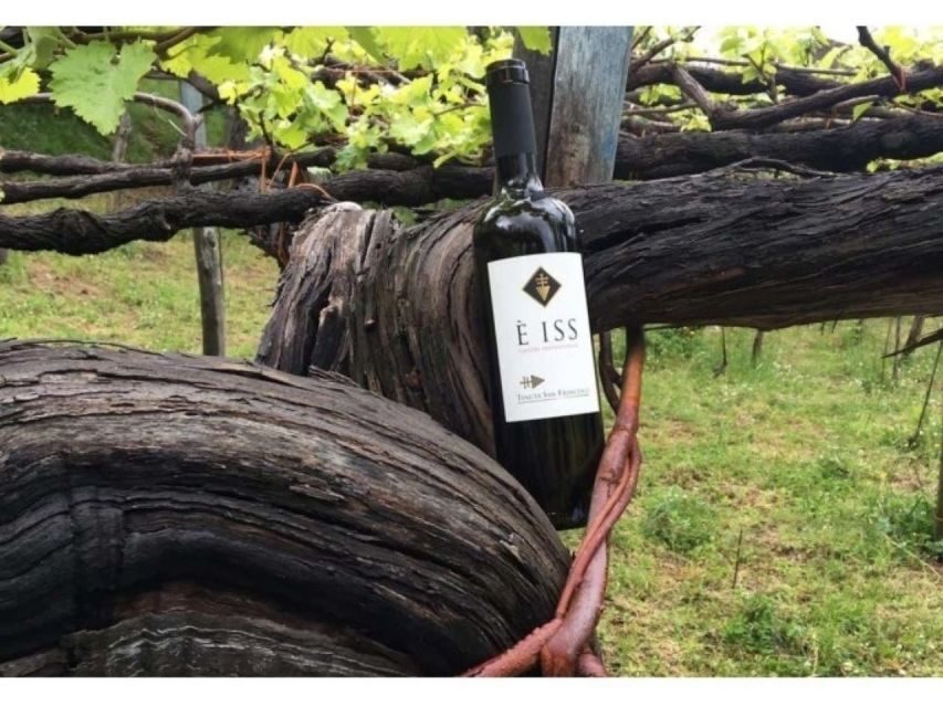 Tramonti: Tenuta San Francesco Wine Tasting - Reviewing the Experience: What Travelers Say