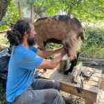 Trancoso: Farm eco-Tour with Tasting - The Itinerary in Detail