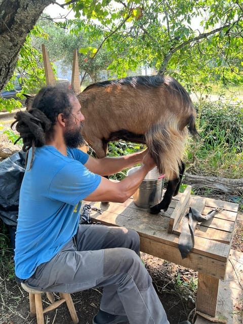 Trancoso: Farm eco-Tour with Tasting - The Itinerary in Detail