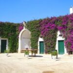 Trani Wine Tours: Flavors of Puglia - The Sum Up