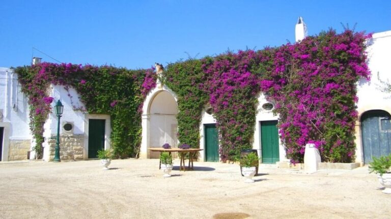 Trani Wine Tours: Flavors of Puglia - The Sum Up