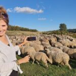 Transfagarasan Road Private Day Trip from Bucharest / The Best Road in the World - FAQs