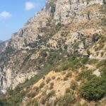 Transfer from Capodichino Airport to Sorrento or Back - Why This Service Might Be the Best Choice