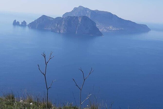 Transfer from Naples airport or station to Nerano (Massalubrense) - Whats Included and How It Works