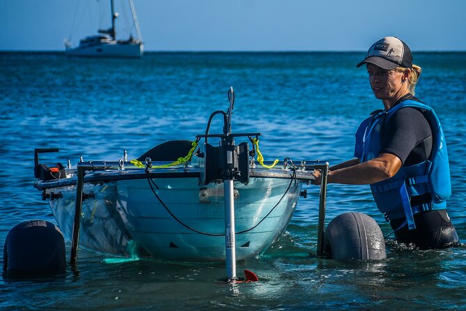 Transparent Electric Kayaks with Guide - Key Points