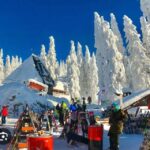 Transylvania: Christmas Markets Private Tour: Brasov & Sibiu - What Makes This Tour Stand Out?