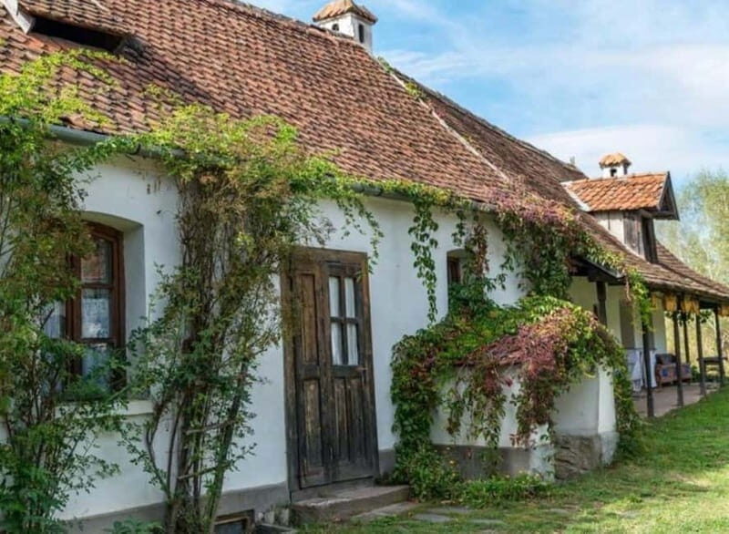 Transylvania Experience 4 Days- Private Tour - What Travelers Say