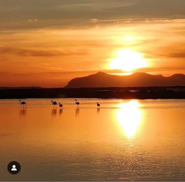 Trapani: Salt Pans Sunset Tour and Flamingo Way - The Itinerary in Detail