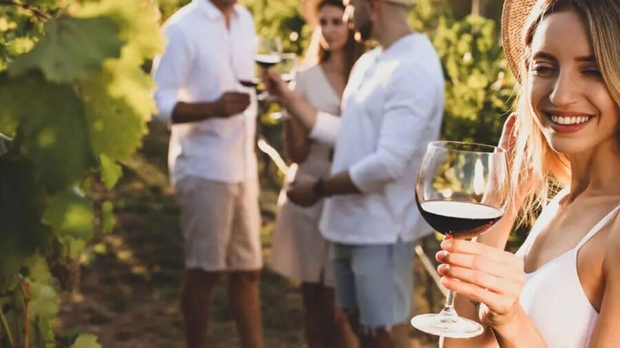 Trasimeno: Discovering Montemelino Wine Experience - What to Know Before You Go