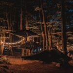 Tree Tents Experience - E-bike Tour - What the Tour Includes and What Not
