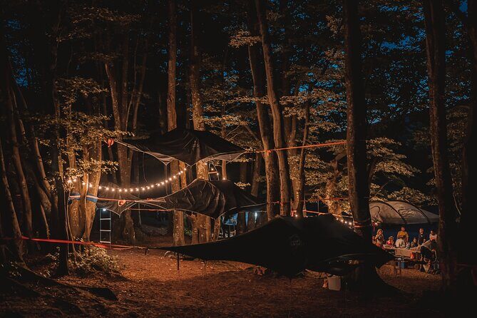 Tree Tents Experience - E-bike Tour - What the Tour Includes and What Not