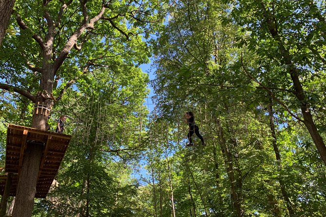 Tree Top Adventure in Forest of Meudon - Introduction