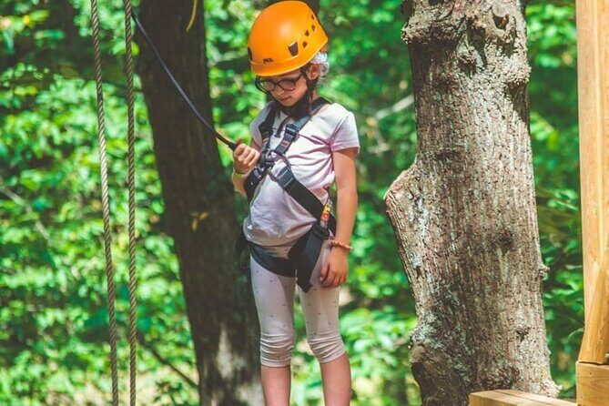 Treetop adventure course in Jablines - The Overall Experience