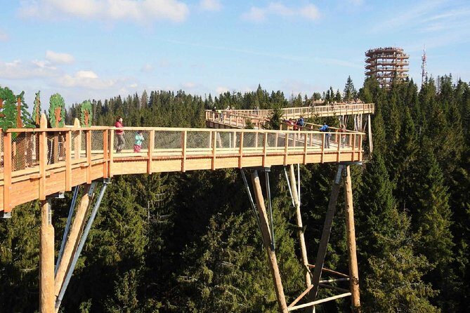 Treetop Walk in Slovakia and Thermal Baths from Krakow - Final Thoughts