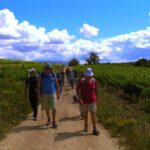 Trek & Wine in Priorat - Discovering Priorat: A Unique Blend of Landscape and Tradition
