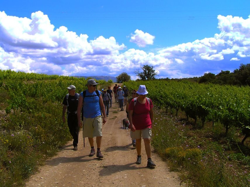 Trek & Wine in Priorat - Discovering Priorat: A Unique Blend of Landscape and Tradition