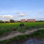 Trekking in the Wood with picnic on the turtles lake - A Closer Look at the Itinerary