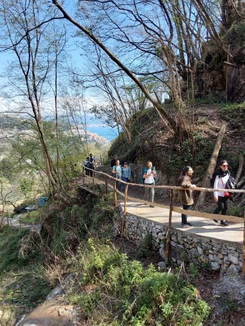 Trekking Lemon Tour - What’s Included and What’s Not