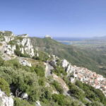 Trenino Supramonte: Guided tour of Golgo plateau - Why the Tour Offers Great Value
