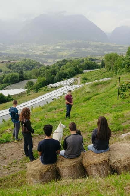 Trentino Agriconda: frutTIAMO...Explore, Learn, Taste Small Fruits - What’s Included and Practical Tips
