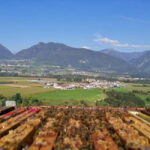 Trentino Agriconda: The adventure of the queen bee. We will explore the beehives. - The honey tasting and shop