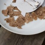 Trequanda: Tuscan Truffle Hunting Experience with Lunch - The Culinary Experience