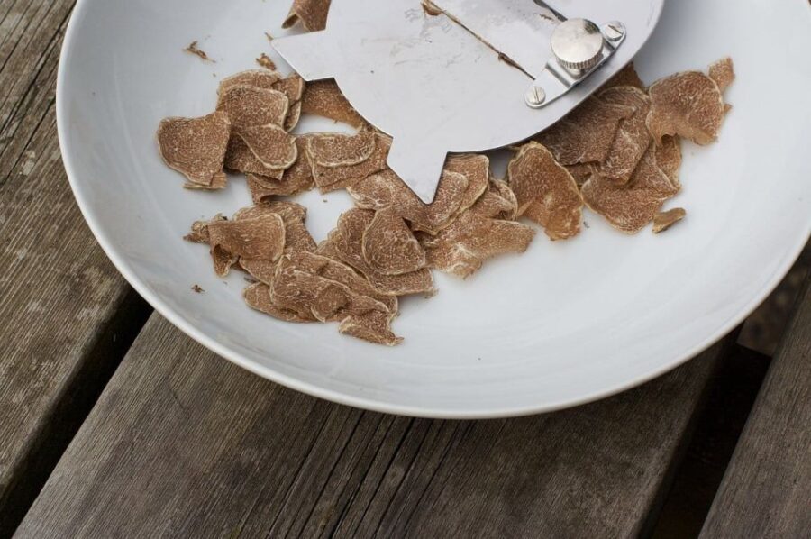 Trequanda: Tuscan Truffle Hunting Experience with Lunch - The Culinary Experience