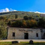 Trevi: Guided tour and tasting at Frantoio Gaudenzi - The Itinerary Breakdown