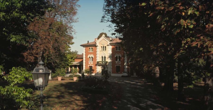 Treviso neighborhood: Tenute Tomasella/Wine Experience - Setting the Scene: A Vineyard with a Story