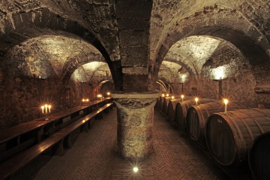 Trier: Discovery tour - Germany's oldest wine cellar - Who Will Appreciate This Tour?