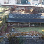 Trier: Roman thermal baths - Final Thoughts: Who Will Love This Experience?