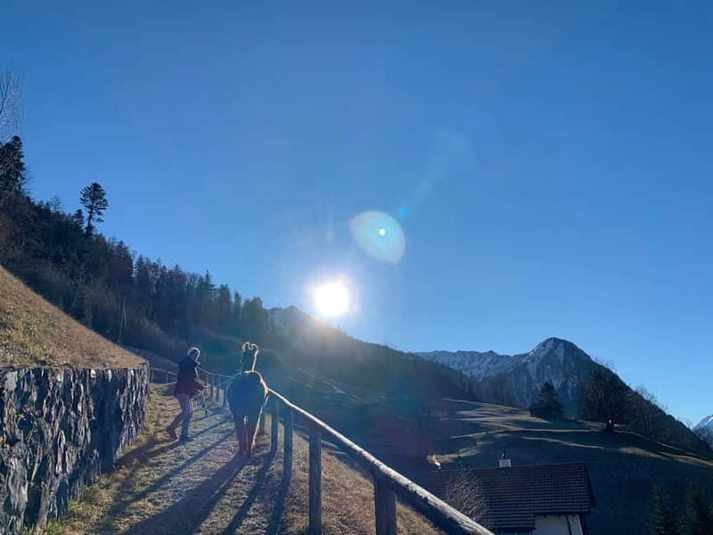 Triesenberg: Llama hike with a delicious BBQ in the middle of the forest - The Practicalities: Value, Pricing, and Tips