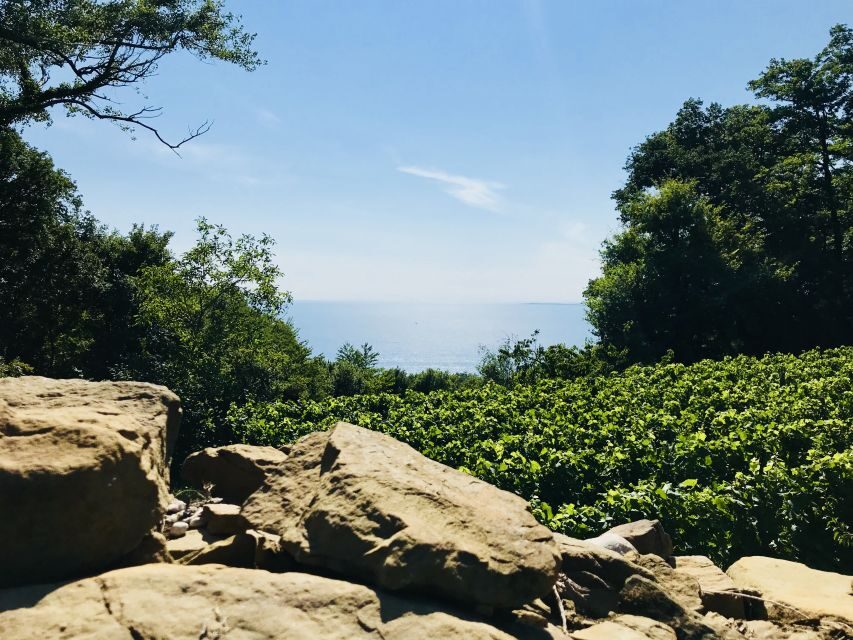 Trieste: 2.5-Hour Prosecco Origins Tour and Tastings - Tasting and Picnic with Stunning Views