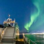 Tromsø: Aurora Dinner Cruise by Hybrid-Electric Catamaran - What Travelers Are Saying: Authentic Feedback
