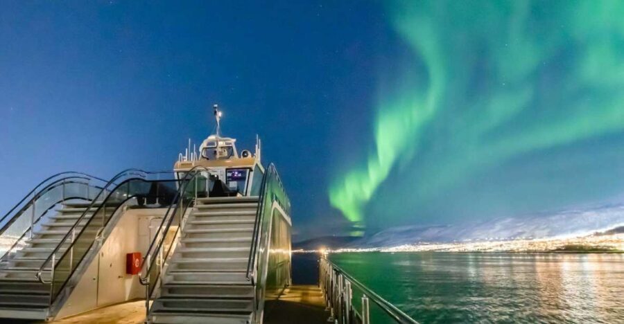 Tromsø: Aurora Dinner Cruise by Hybrid-Electric Catamaran - What Travelers Are Saying: Authentic Feedback
