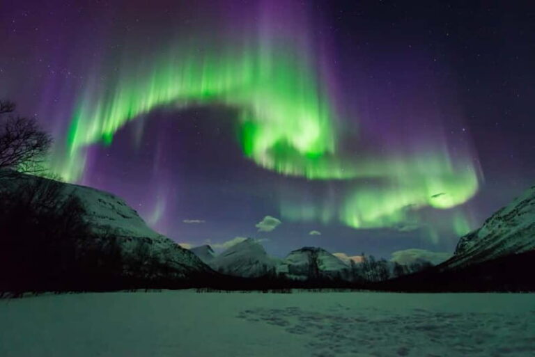 Tromsø: Aurora Hunt with Citizen Science - What Sets This Tour Apart?