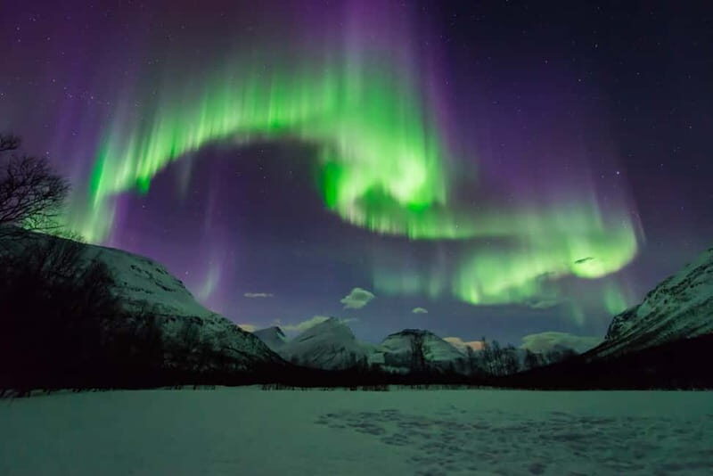 Tromsø: Aurora Hunt with Citizen Science - What Sets This Tour Apart?
