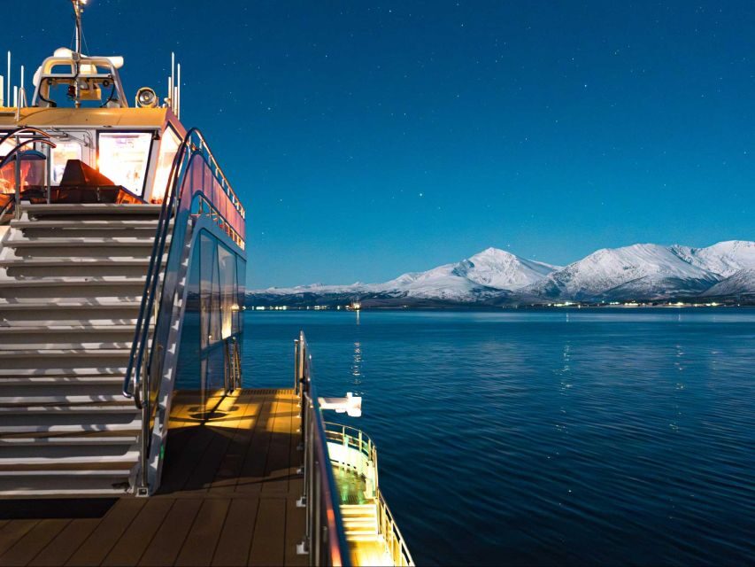 Tromsø: Electric Northern Lights Cruise - Pricing and Value