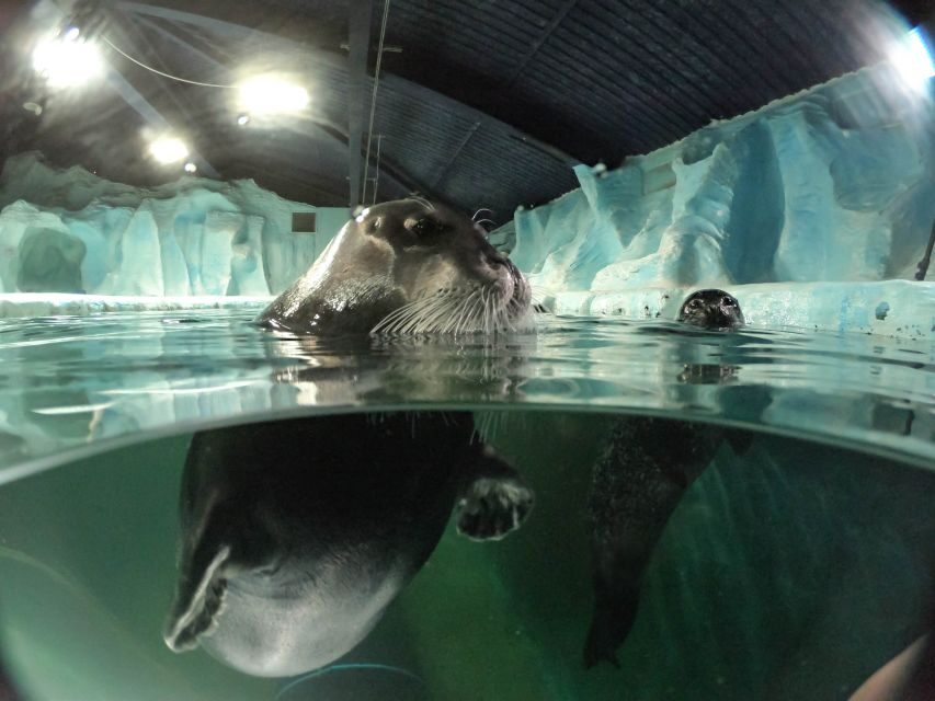 Tromsø: Entrance Ticket to Polaria - Interactive Exhibitions & Climate Education
