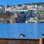 Tromsø: Evening City Walking Tour with Arctic Stories - A Walk Through Tromsø’s Heart