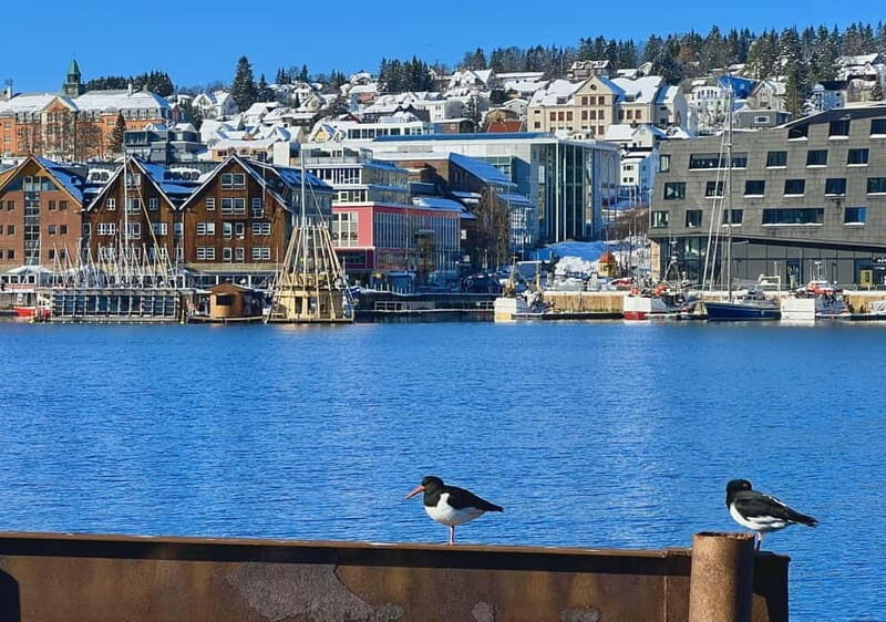 Tromsø: Evening City Walking Tour with Arctic Stories - A Walk Through Tromsø’s Heart