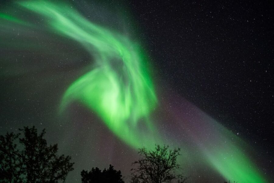 Tromsø: Evening Cruise with Northern Lights Opportunity - The Boat: A Comfortable Vessel in Arctic Waters