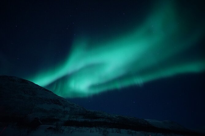 Tromsø: Evening Cruise with Northern Lights Opportunity - Tromsø: Evening Cruise with Northern Lights Opportunity — A Full Review
