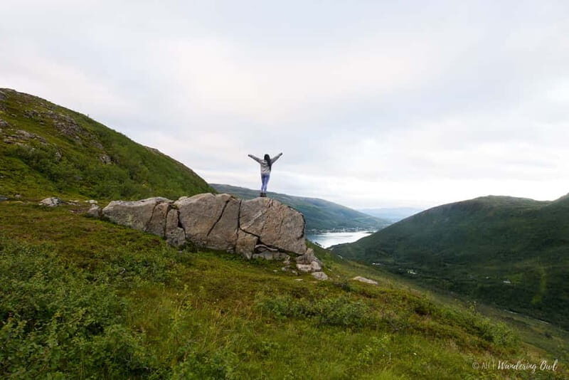 Tromsø: Express Summer Day Hike in the wilderness - Highlights That Make This Hike Stand Out