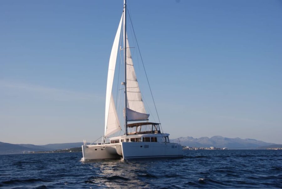 Tromsø: Fjord and Islands Luxury Catamaran Cruise - Is It Worth the Price?