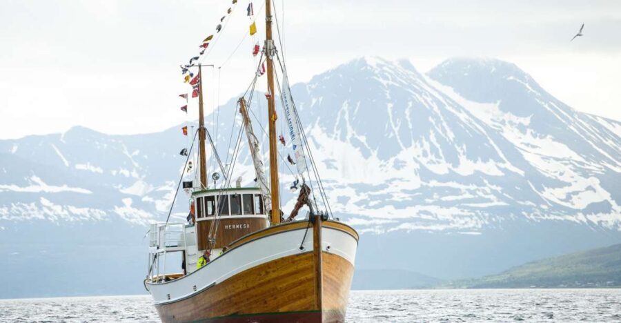 Tromsø: Fjord Fishing Cruise - Who’s This Tour Best For?